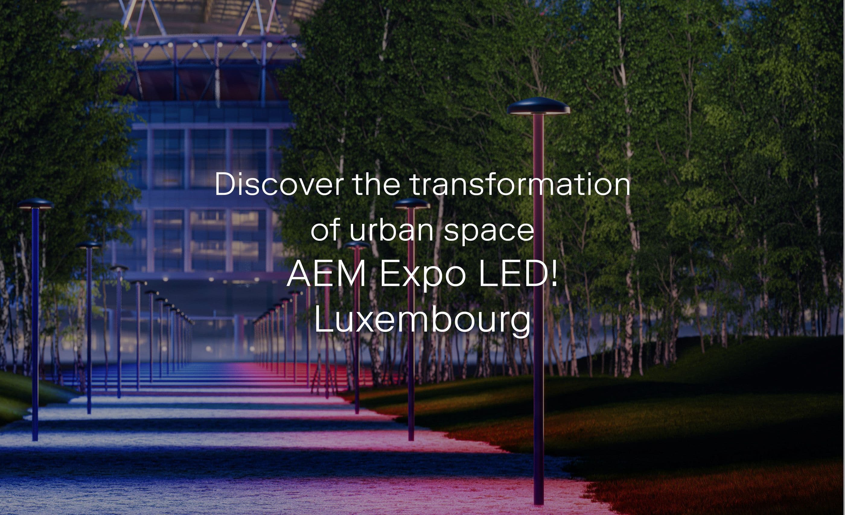 ewo News: All news at a glance